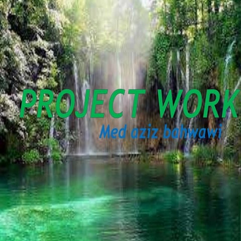 Project work | PPTX
