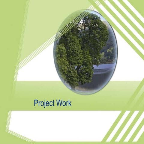 Project work basics | PPT