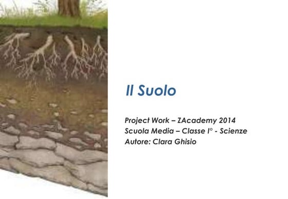 Suolo | PPT