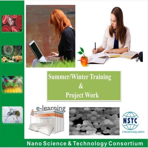 Summer/Winter Trainings & Project Work | PPTX