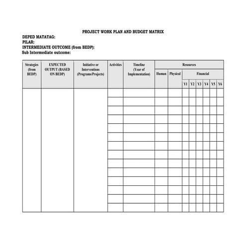 PROJECT WORK PLAN AND BUDGET MATRIX.docx