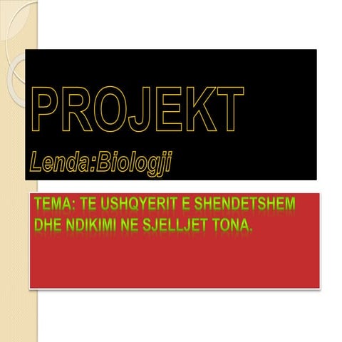 Projekt by Alket Selimaj | PPTX