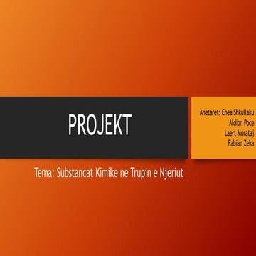 PROJEKT.pptx