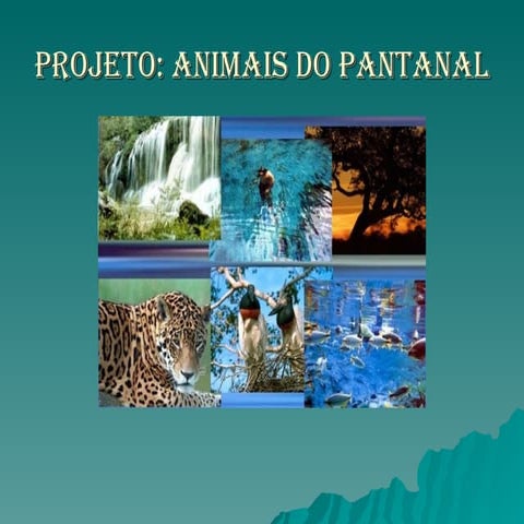 Projeto pantanal | PPT