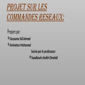 Projet sur les commandes reseaux (6).pptx