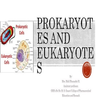 Ppt Prokaryotic And Eukaryotic Classification