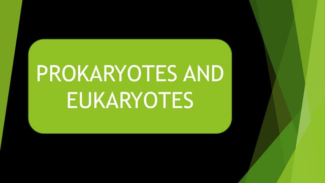 Prokaryotes and eukaryotes powerpoint | PPT