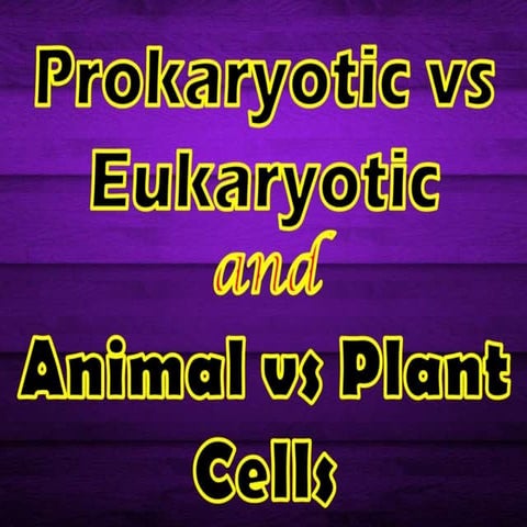 Prokaryotes and eukaryotes AND plant and animal cell | PPTX