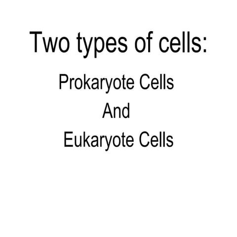 Prokaryotes vs eukaryotes | PPT