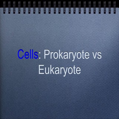 Lesson 3 Prokaryotic vs Eukaryotic Cell | PDF