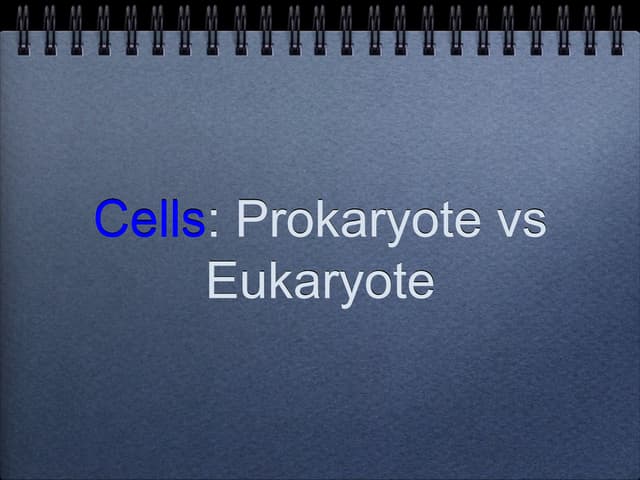 Lesson 3 Prokaryotic vs Eukaryotic Cell | PDF