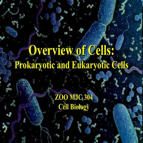 Two Types Of Cells - Eukaryotic and Prokaryotic Cells | PPT