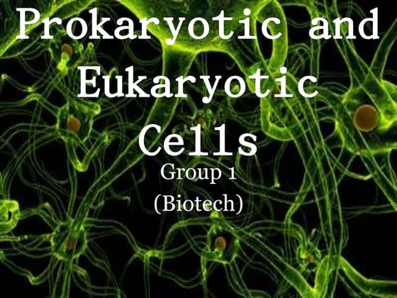Prokaryotic &eukaryotic cells | PPTX | Biological Sciences | Science