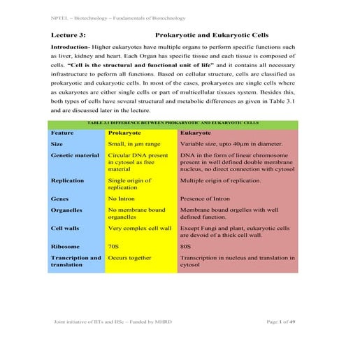 2.3 eukaryotic cells
