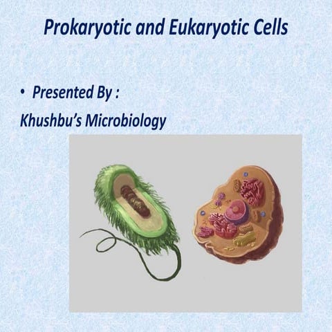 Prokaryotic and eukaryotic cells | PPTX