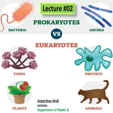 Prokaryotic and Eukaryotic cells | PPTX