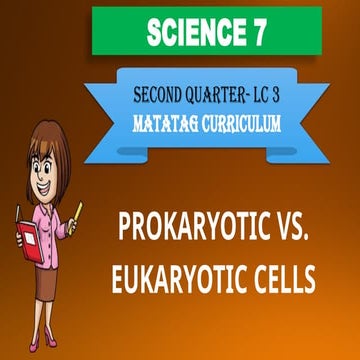 Prokaryotic and Eukaryotic Cells. PowerPoint presentation | PPTX