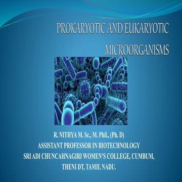 Ppt Prokaryotic And Eukaryotic Classification