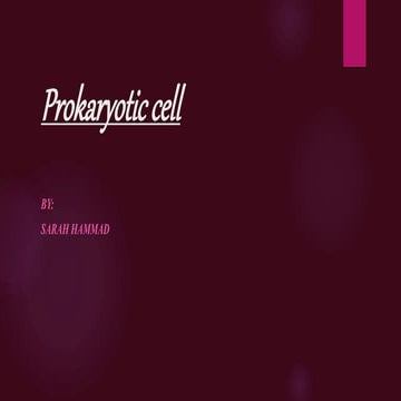 Prokaryotic cell Of Bacteria | PPTX