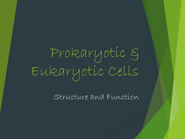 Ultrastructure of prokaryotic and eukaryotic cells | PPTX