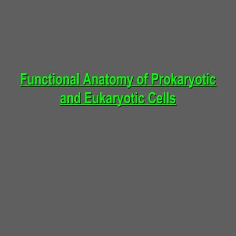 Prokaryotic & eukaryotic cells 3 | PPT