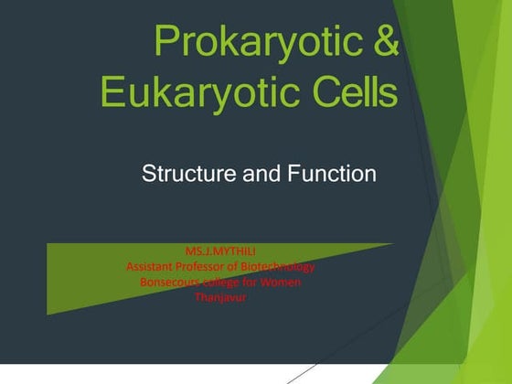 Prokaryotic &eukaryotic cells | PPTX | Biological Sciences | Science