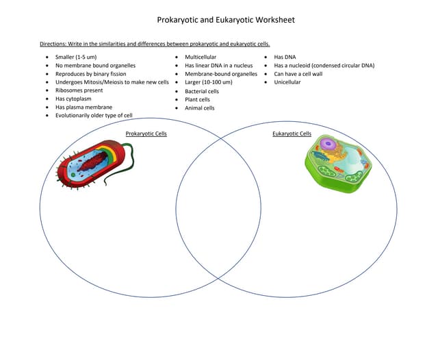 Grade 9-photosynthesis and respiration.pptx