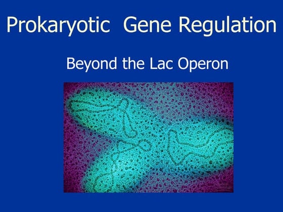Lac operon | PPT | Genetics | Science