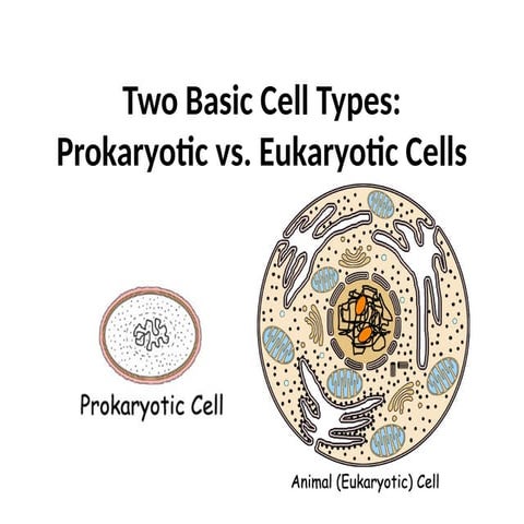 Types of cells notes ppt | PPTX