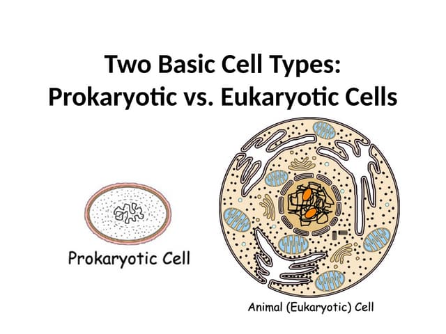 Types of cells notes ppt | PPTX