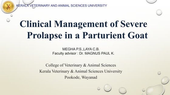 Correction and Management of Total Uterine Prolapse in A Crossbred Cow ...