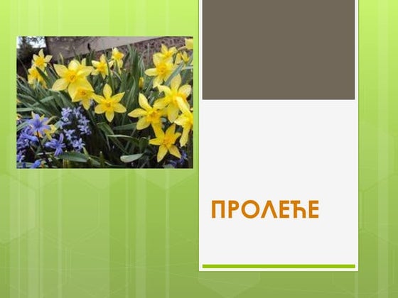 Kako je procvjetala prva visibaba - Šimo Ešić, Biljana Joksimović | PPT