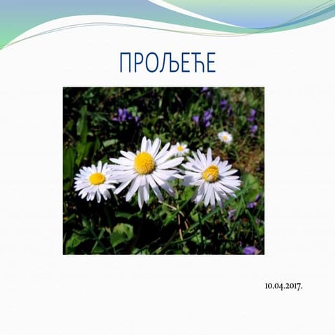 Proljece ppp | PPTX
