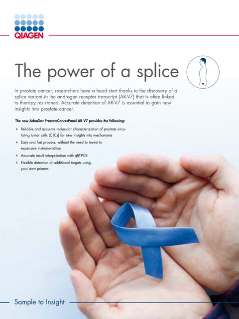 Targeted Genomic Sequencing Assay For Comprehensive Molecular Characterization Of Tumor