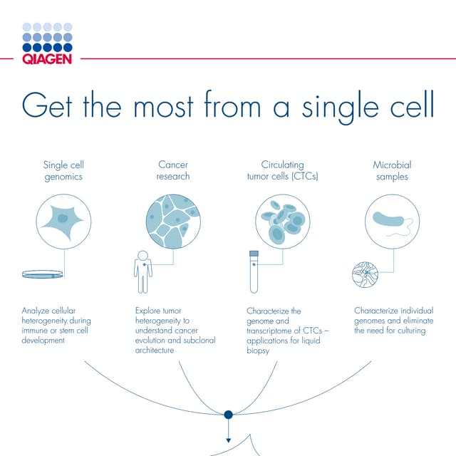 Get the Most from a Single Cell Infographic | PDF