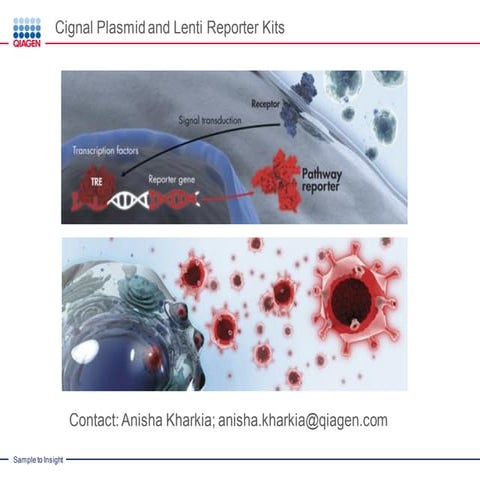 Cell-based Reporter Assays: Measure 45 Signaling Pathway Activity in ...