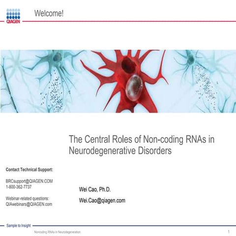 The Central Roles of Non-coding RNAs in Neurodegenerative Disorders ...