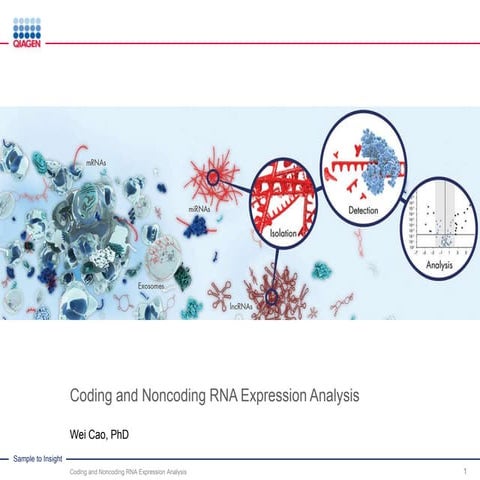 Advanced Real Time Pcr Array Technology Coding And Noncoding Rna