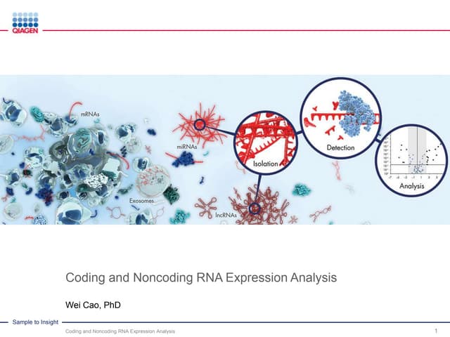 Advanced Real Time Pcr Array Technology Coding And Noncoding Rna