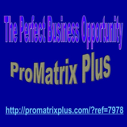 Promatrix plus the perfect opportunity | PPT