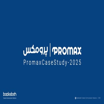 Promax 2025 Professional Campaign Case Study EN | PDF