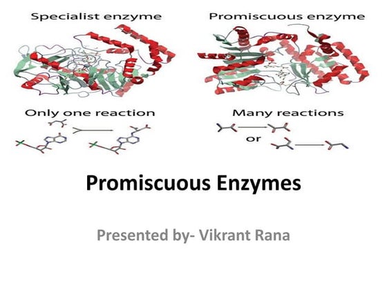 enzymatic activities and enzyme pathway | PPT