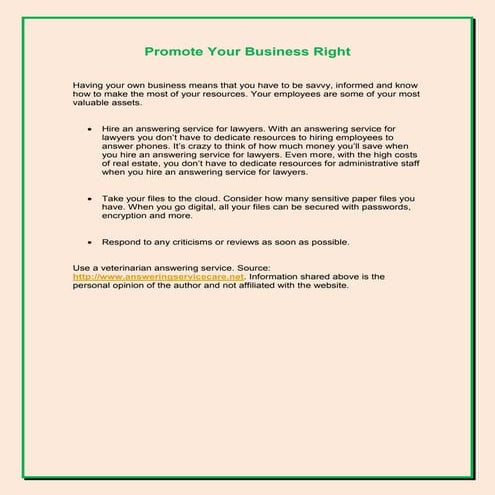 Promote Your Business Right | PDF