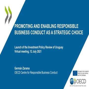 Promoting and enabling responsible business conduct as a strategic ...