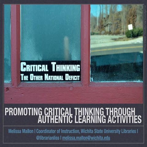 Promoting Critical Thinking Through Authentic Learning Activities | PDF