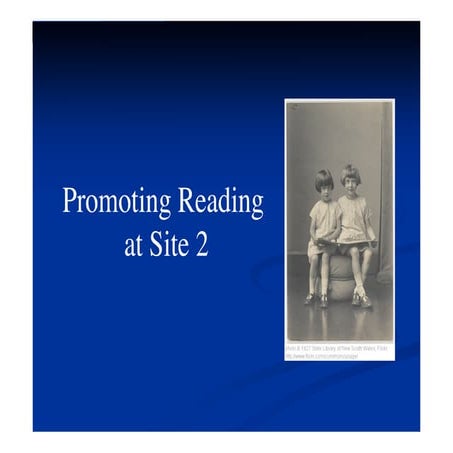 Promoting reading | PDF