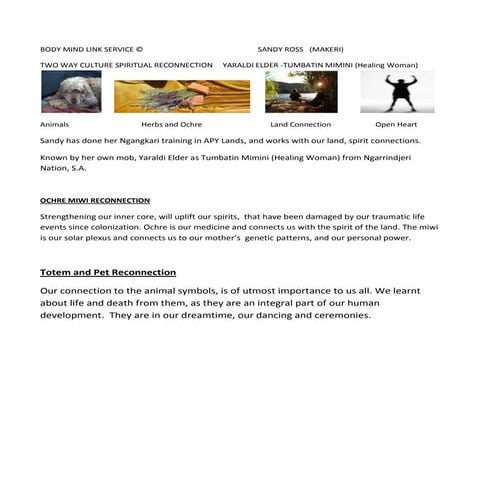 Promotion of sandy ross (makeri) | PDF