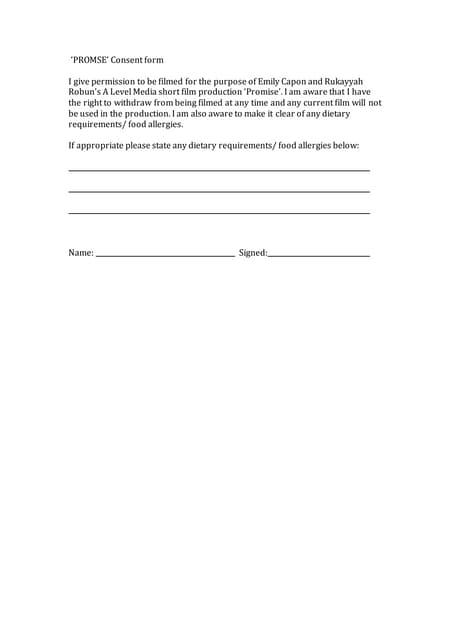 ‘Promise’ consent form household owner | DOCX