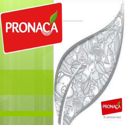 Pronaca-Técnicas de Estudio | PPTX