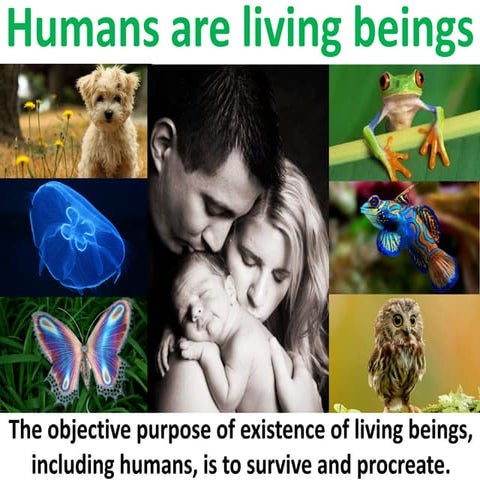 Pro-natalism :Humans are living beings. | PPT